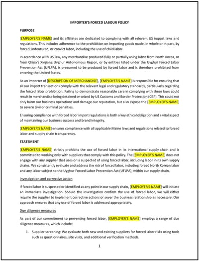 Importer's forced labour policy (Maine): Free template