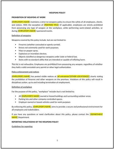 Weapons policy (Iowa): Free template